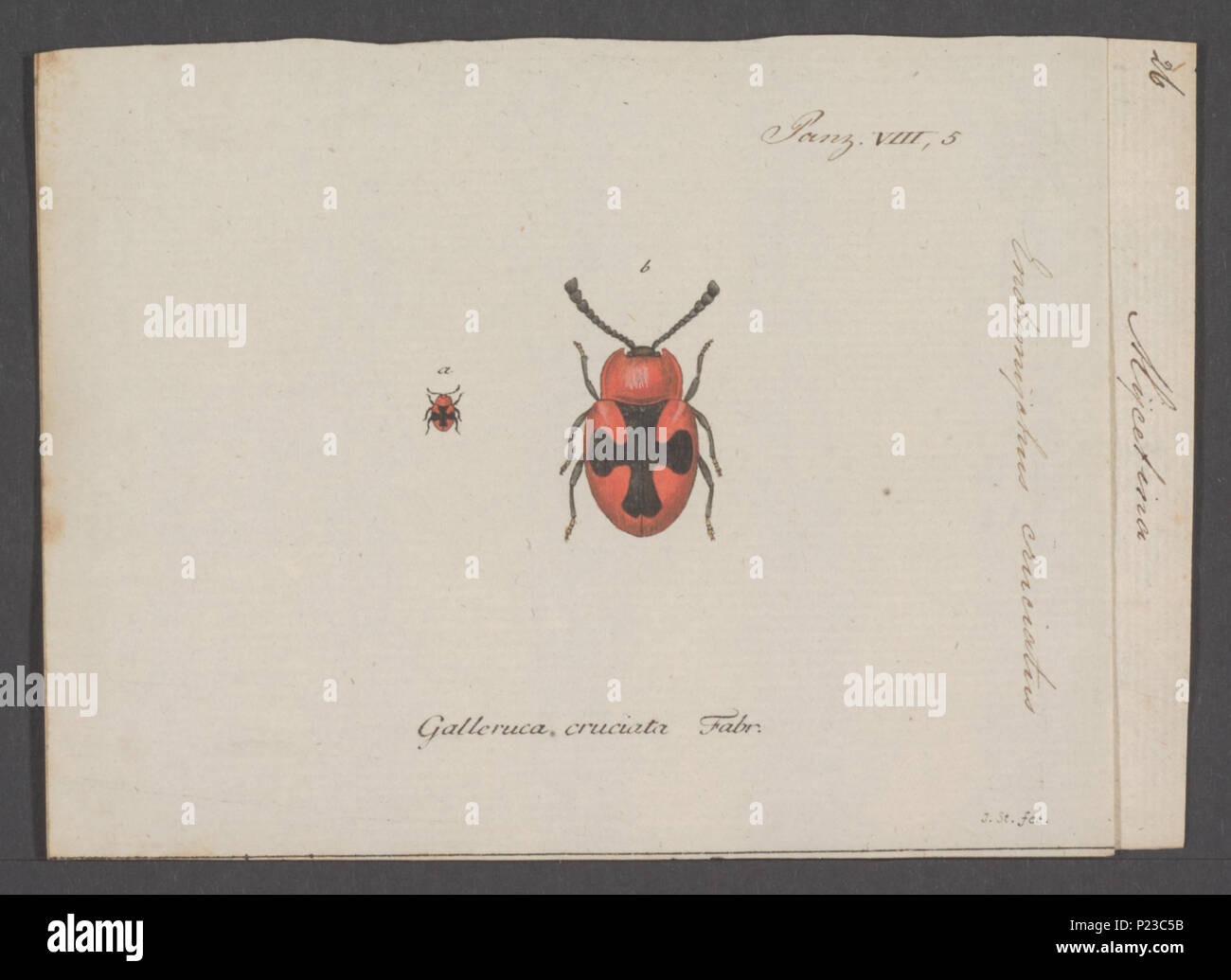 198 037 hi-res stock photography and images - Alamy