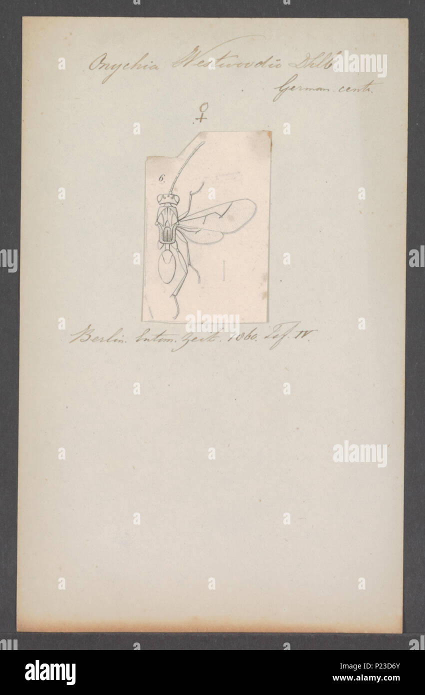 Onychia hi-res stock photography and images - Alamy