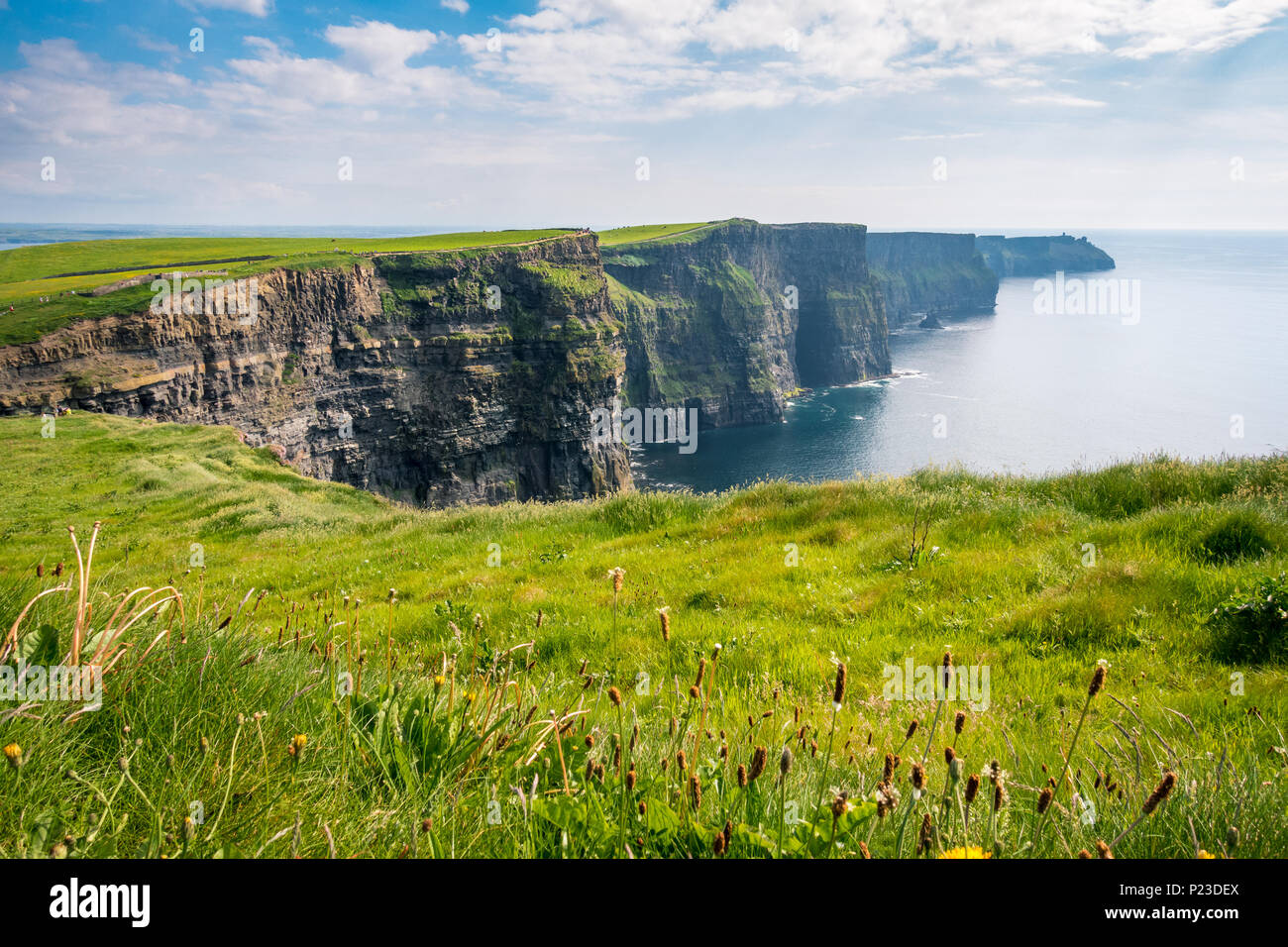 Sea view on Cliffs of Moher in Ireland Stock Photo - Alamy