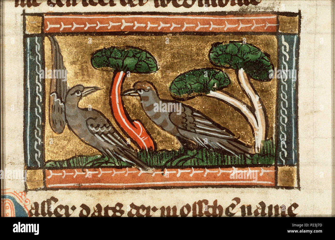 . Passer (sparrow) - miniature from folio 099r from Der naturen bloeme ...