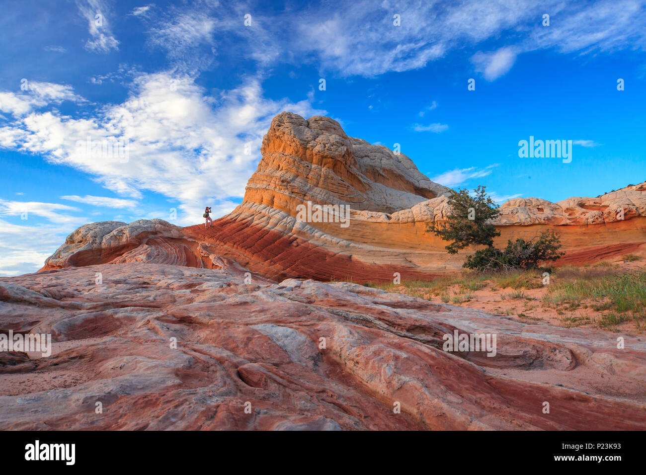 Colorful ripples in a sandstone over bright blue sky. White Pocket, a ...