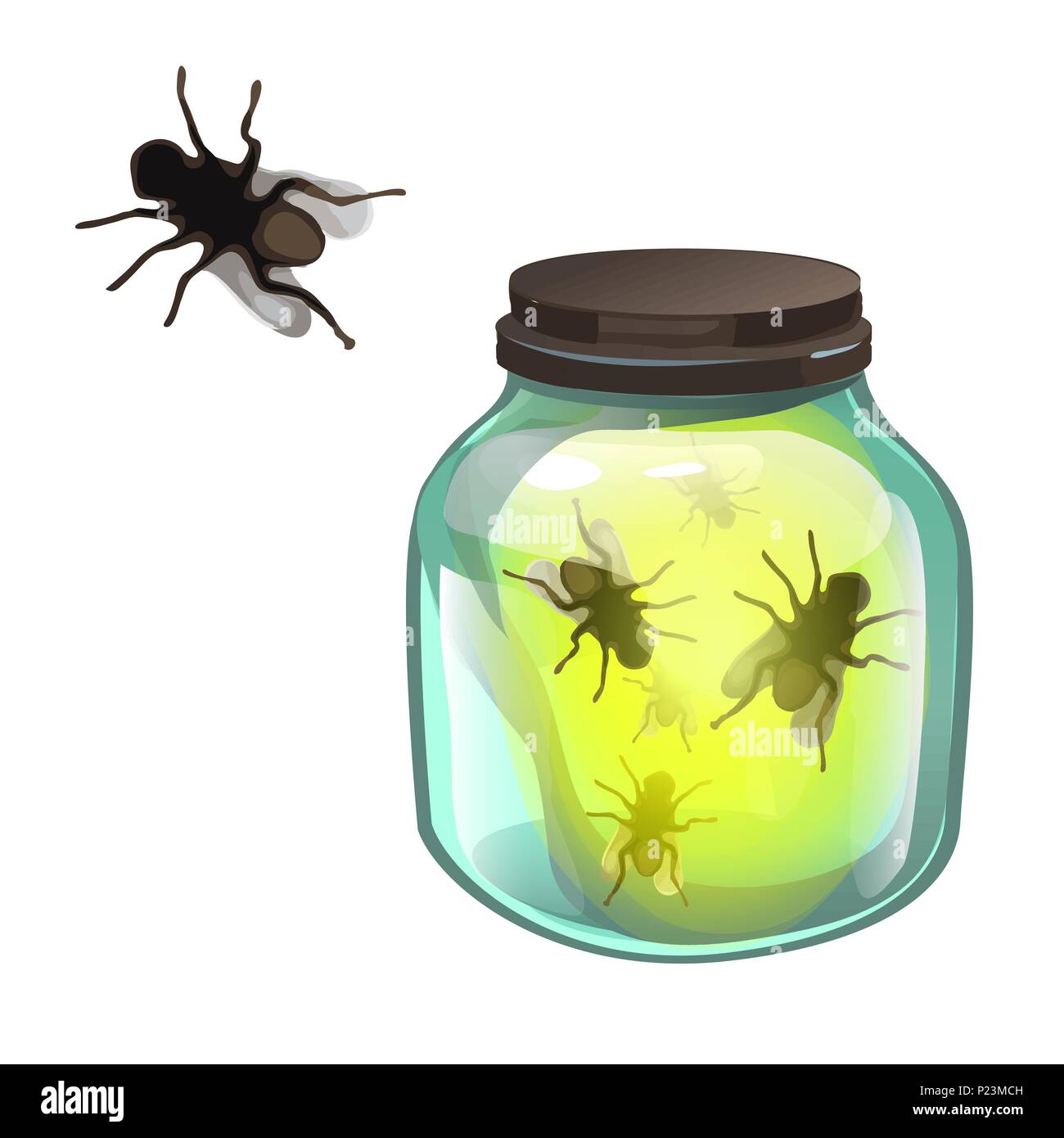 Glass transparent jar with flies inside isolated on white background ...