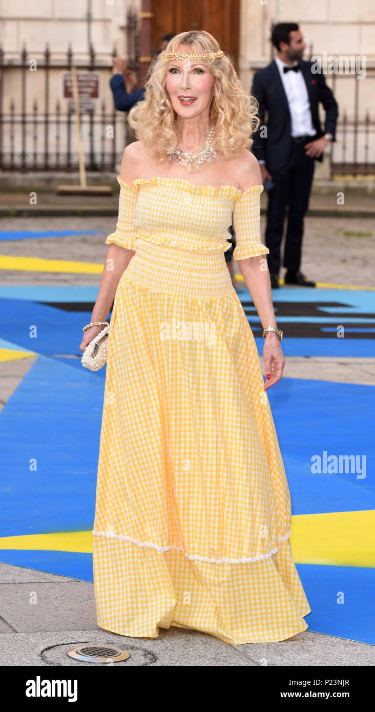 London, UK. Basia Briggs at the Royal Academy Of Arts Summer Exhibition ...