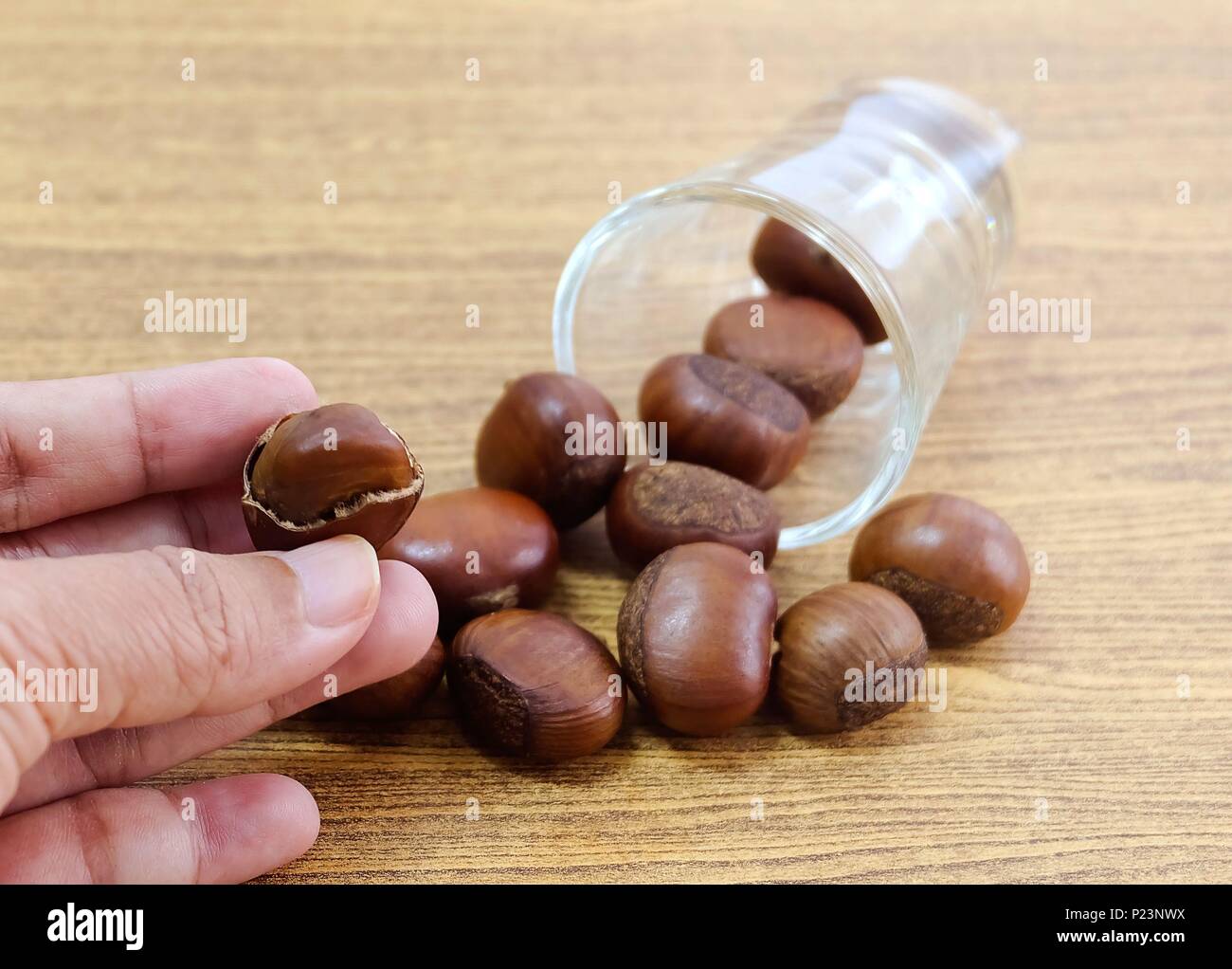 Food and Cuisine, Hand Holding Delicious Roasted Chestnuts. High in ...