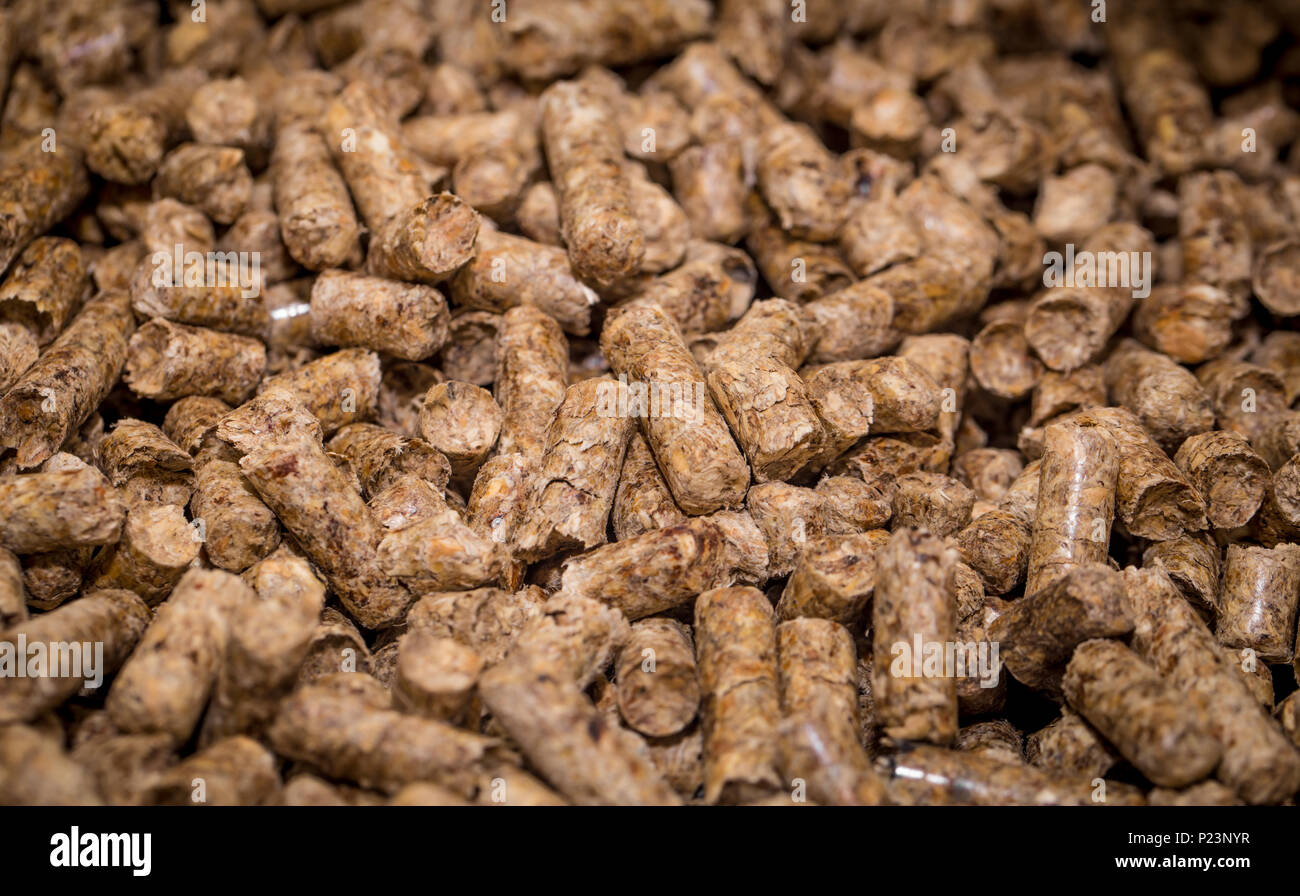 wood briquettes for solid fuel boilers, closeup Stock Photo - Alamy