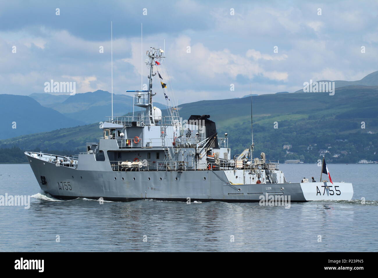 Navy sea lion hi-res stock photography and images - Alamy