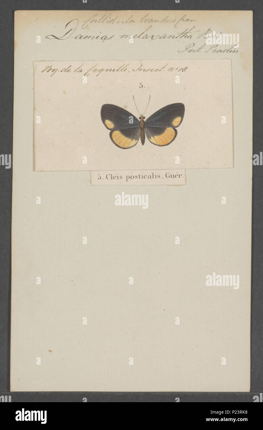 47 055 hi-res stock photography and images - Alamy