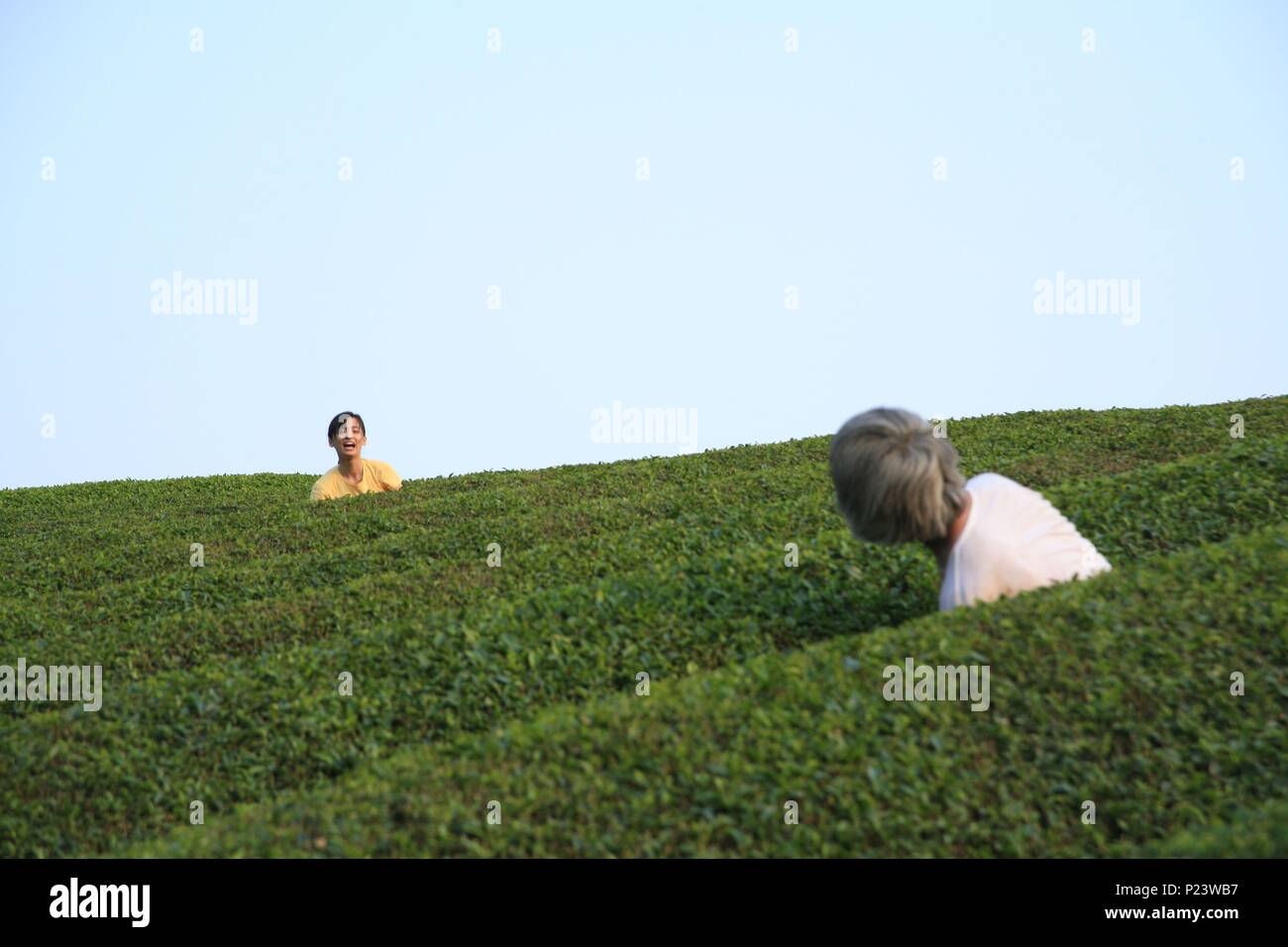 Mogari no mori hi-res stock photography and images - Alamy