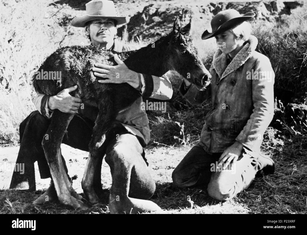 Original Film Title: VALDEZ, IL MEZZOSANGUE. English Title: CHINO. Film ...