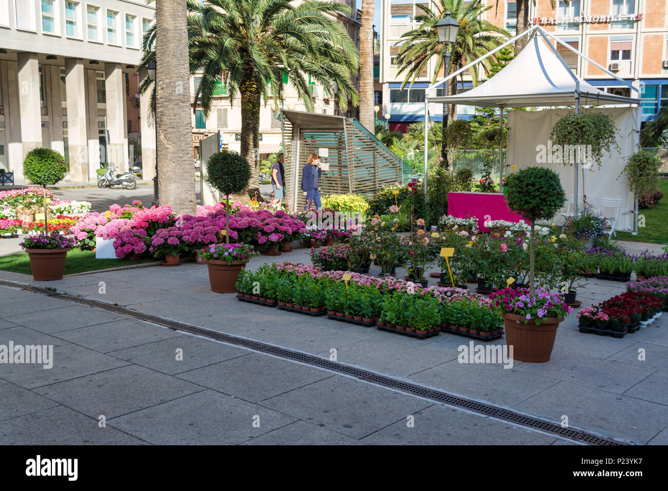 multicolored flower garden inside the city of Sassari - Sardinia in a ...