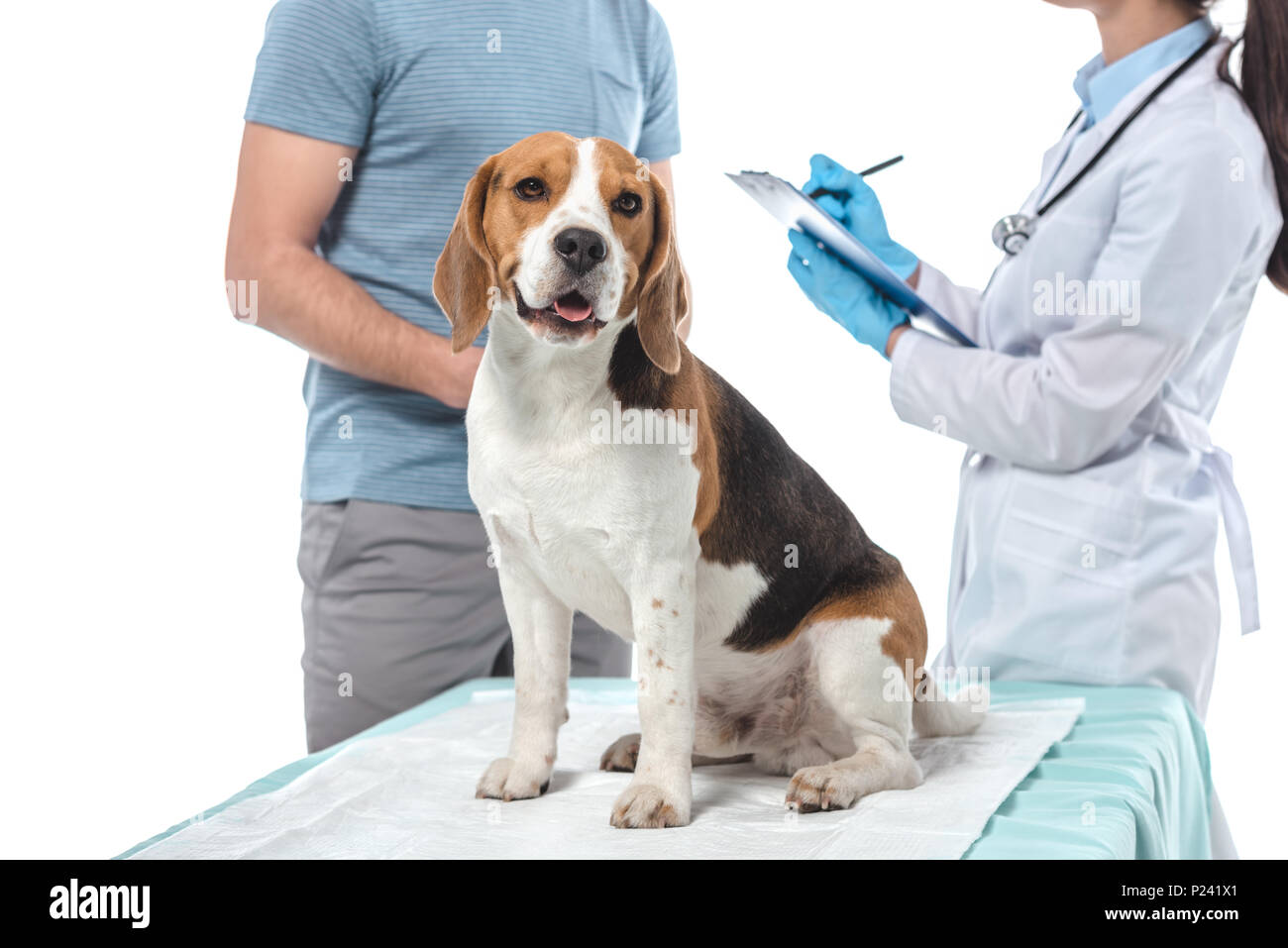 Vet table hi-res stock photography and images - Alamy