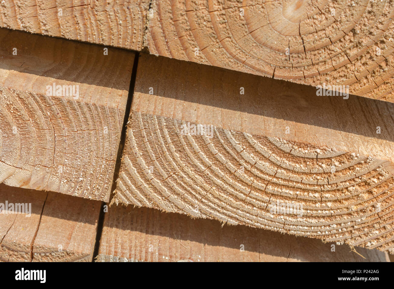 Cross sectioned wood hi-res stock photography and images - Alamy