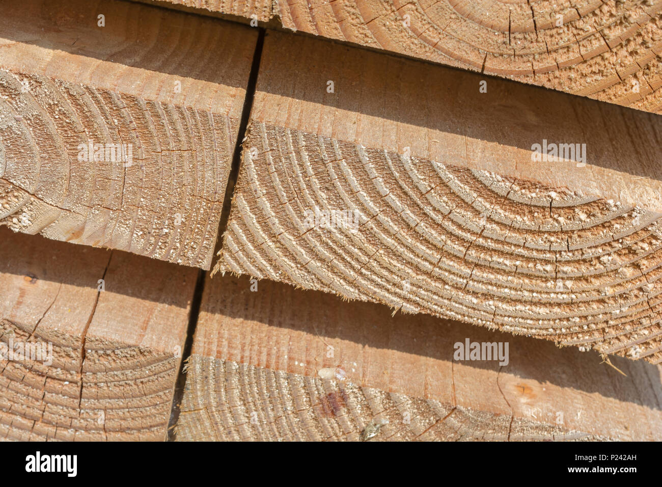 Cross sectioned wood hi-res stock photography and images - Alamy