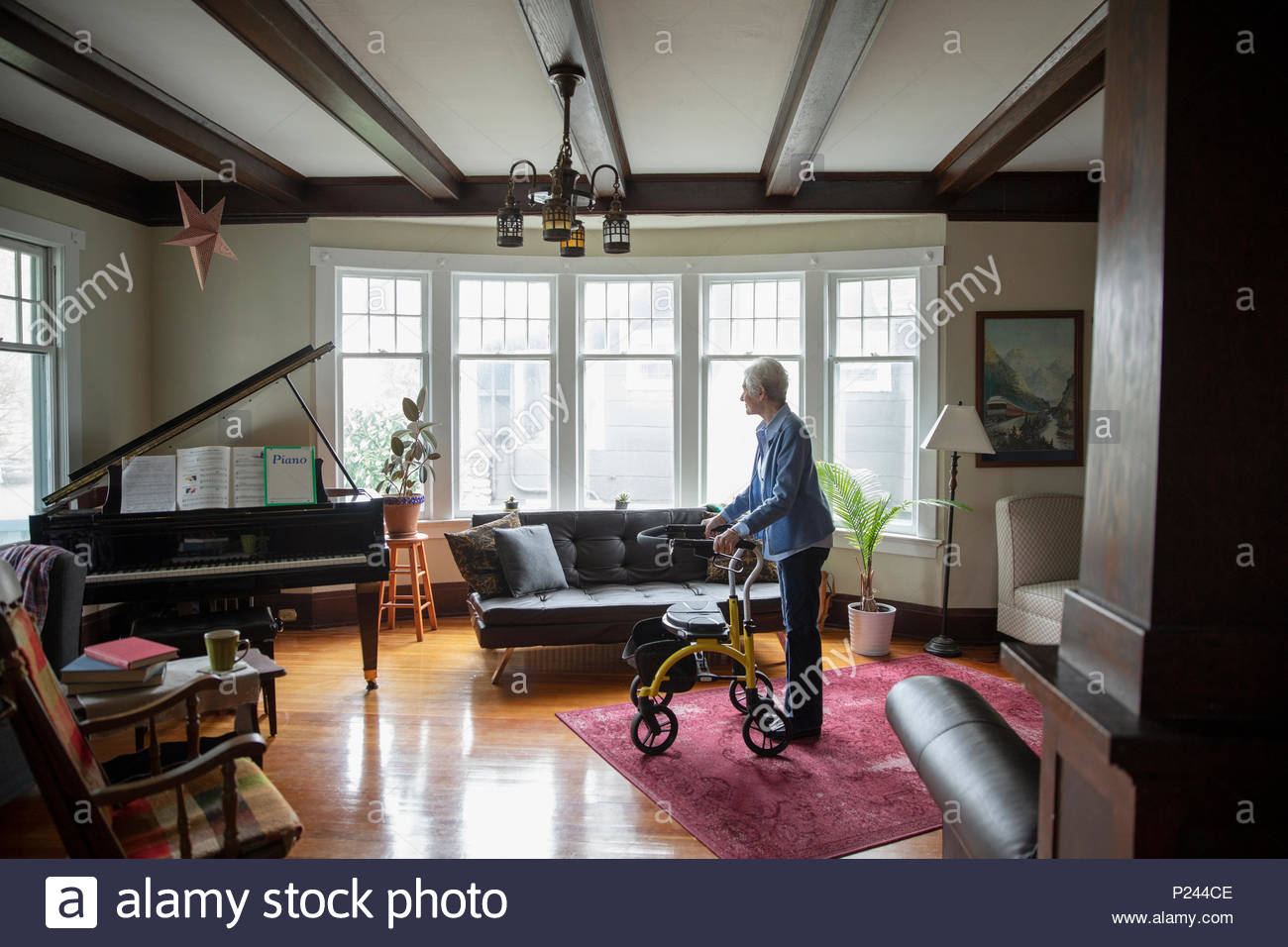 Senior mobility walker hi-res stock photography and images - Alamy