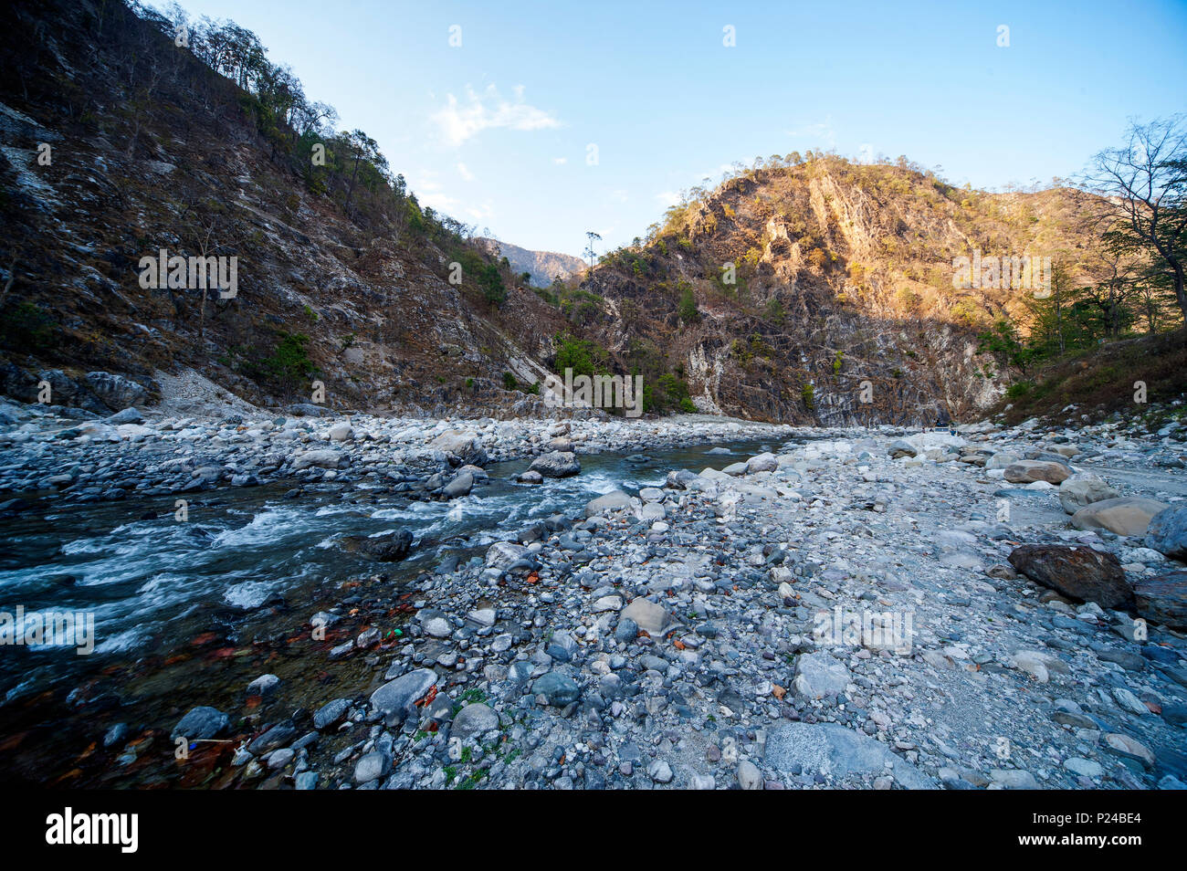 Chuka tiger hi-res stock photography and images - Alamy