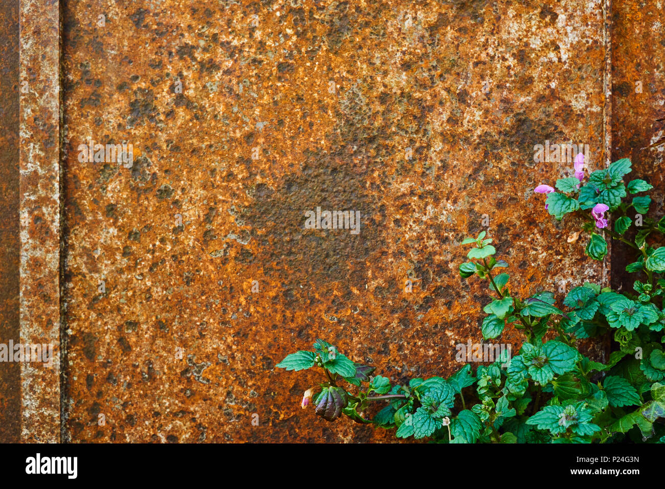Metal leaf plant hi-res stock photography and images - Alamy