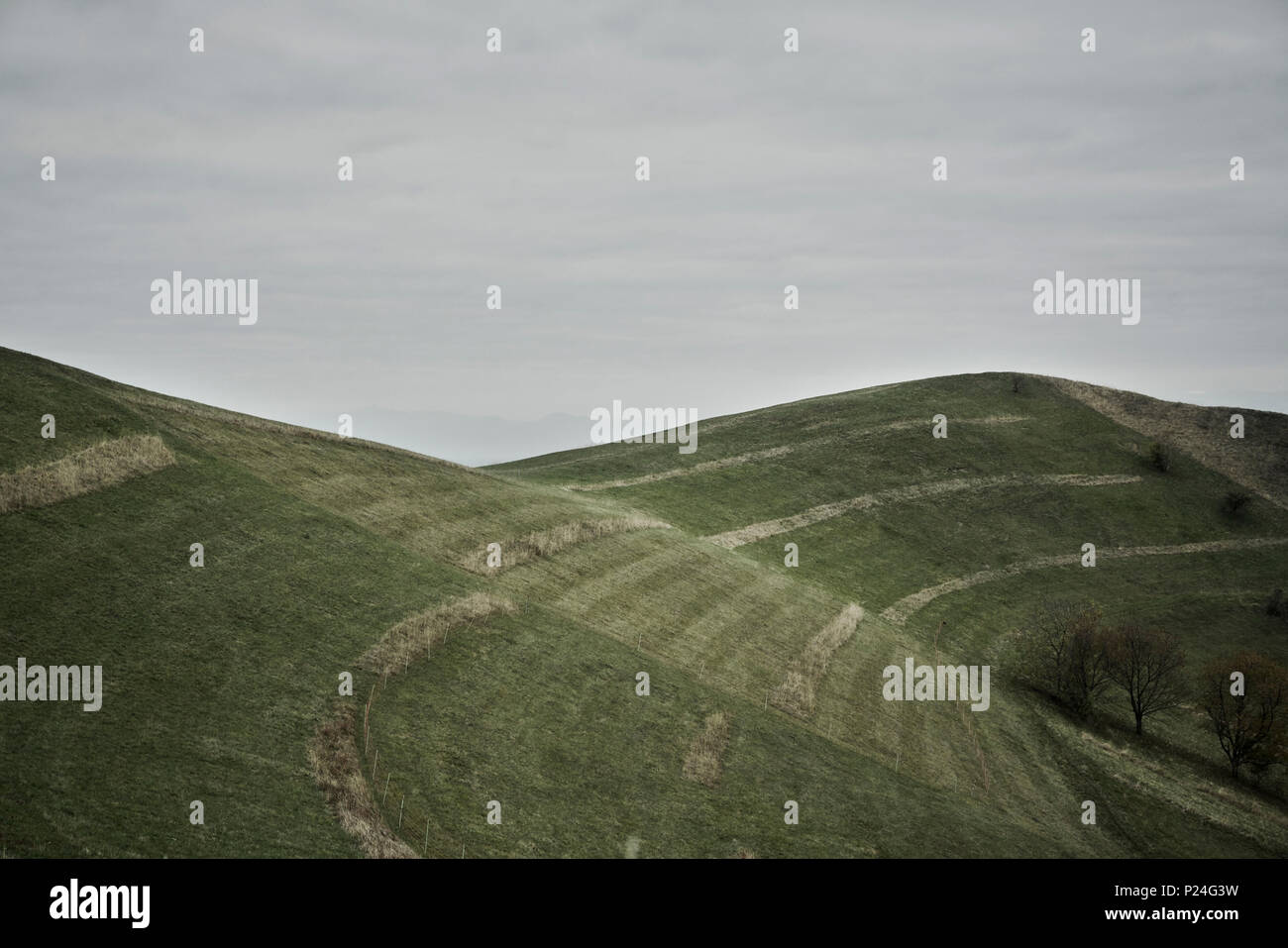 two hills of a mountain range, meadow, cloudy heaven, summers Stock ...