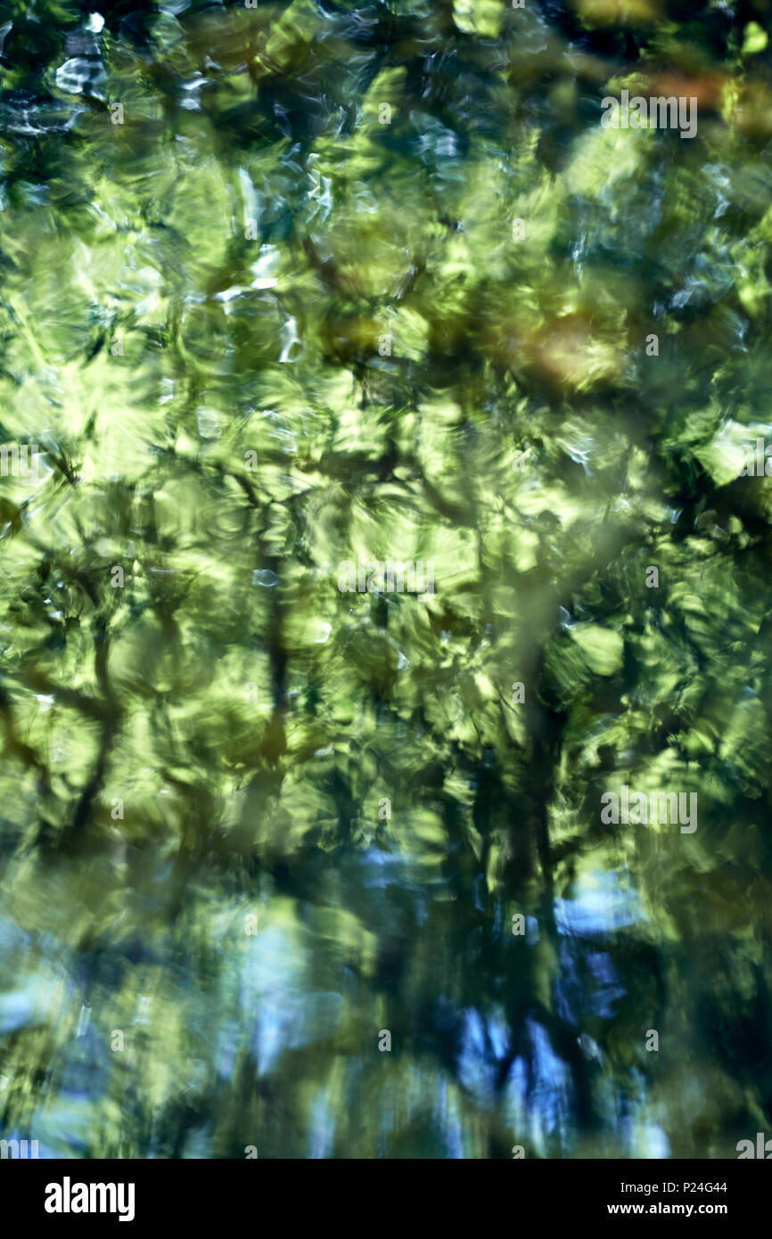 Water in a river with motion blur and leaves, bird's-eye view Stock ...