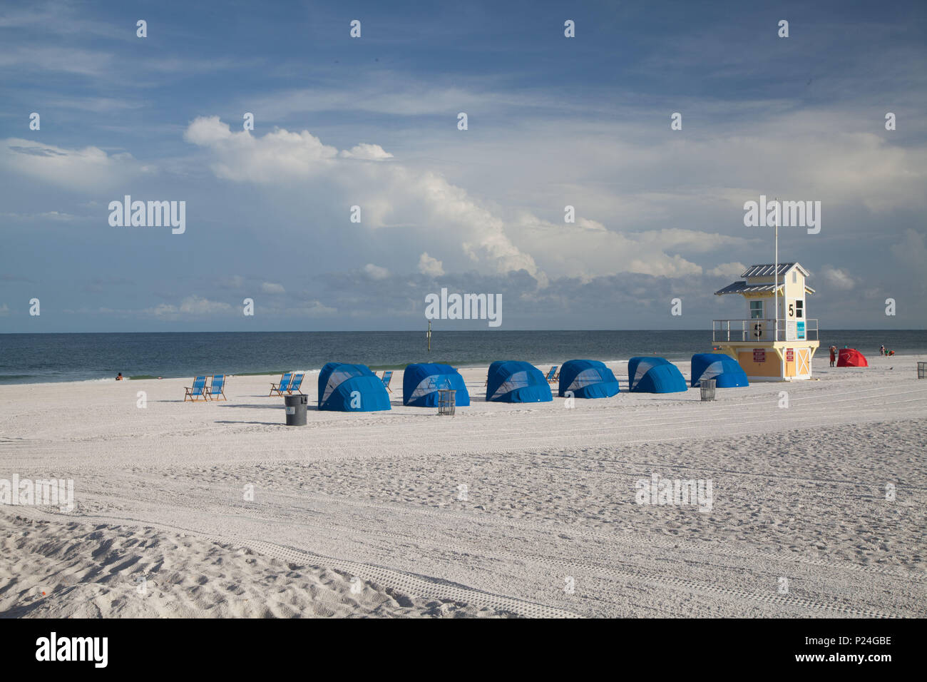 Florida beach shells hi-res stock photography and images - Alamy