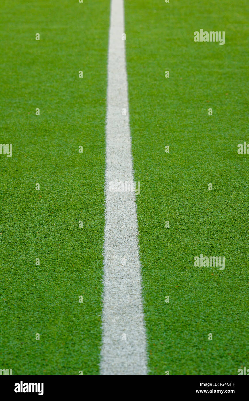 Cricket Ground Grass Texture