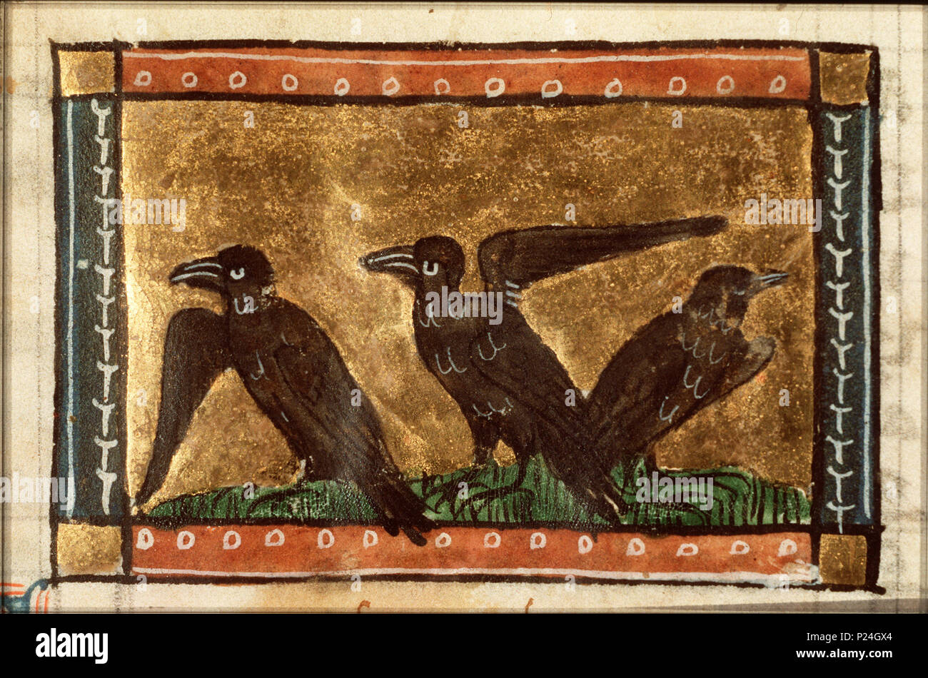 . Sturmis (starling) - miniature from folio 100v from Der naturen ...
