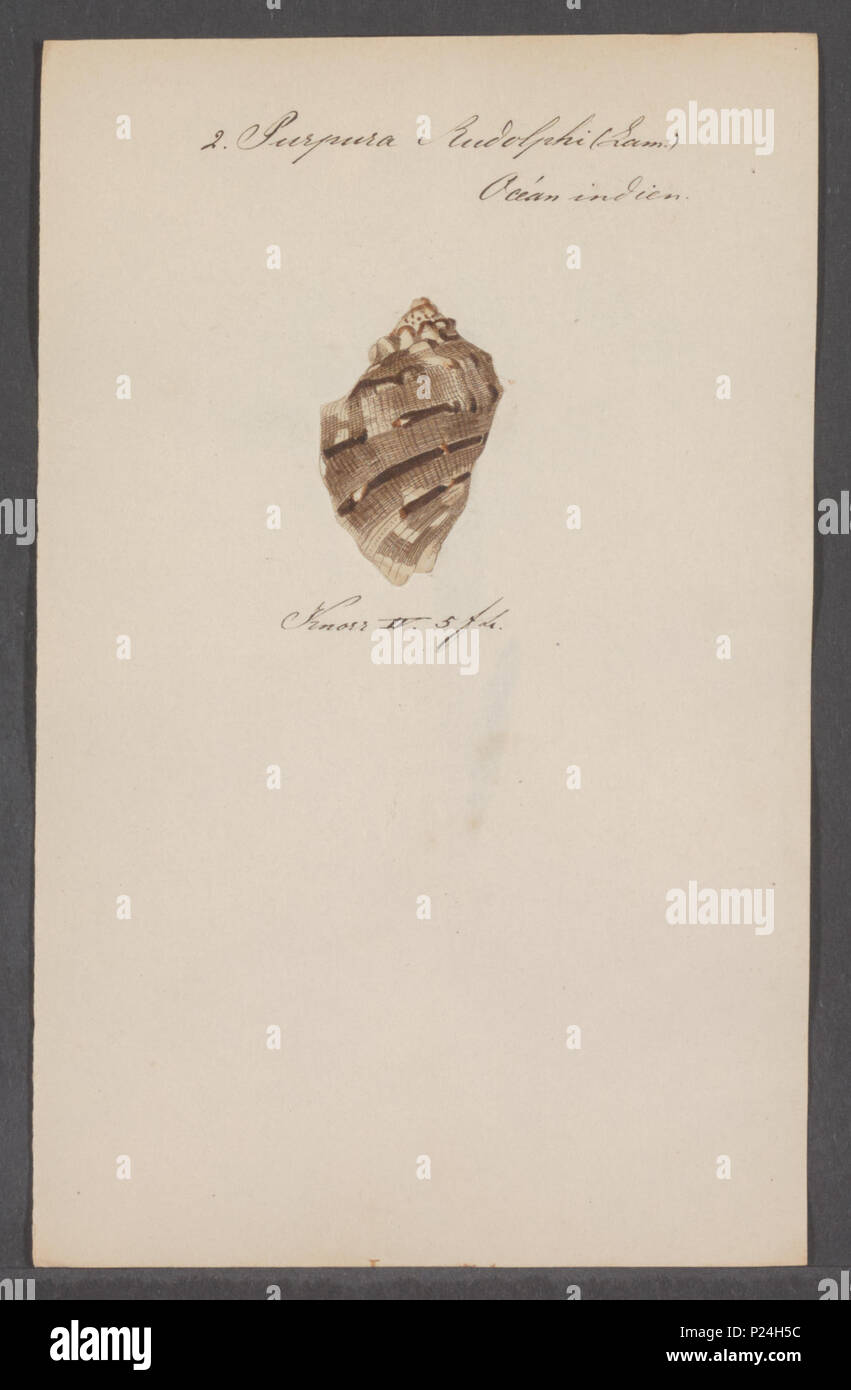 Rudolphi hi-res stock photography and images - Alamy