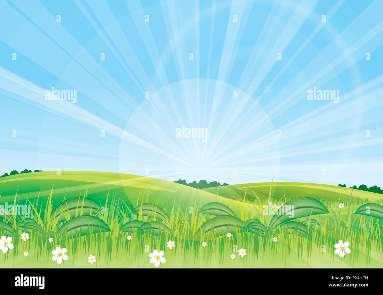 spring summer background with flowers and meadows hills Stock Vector ...