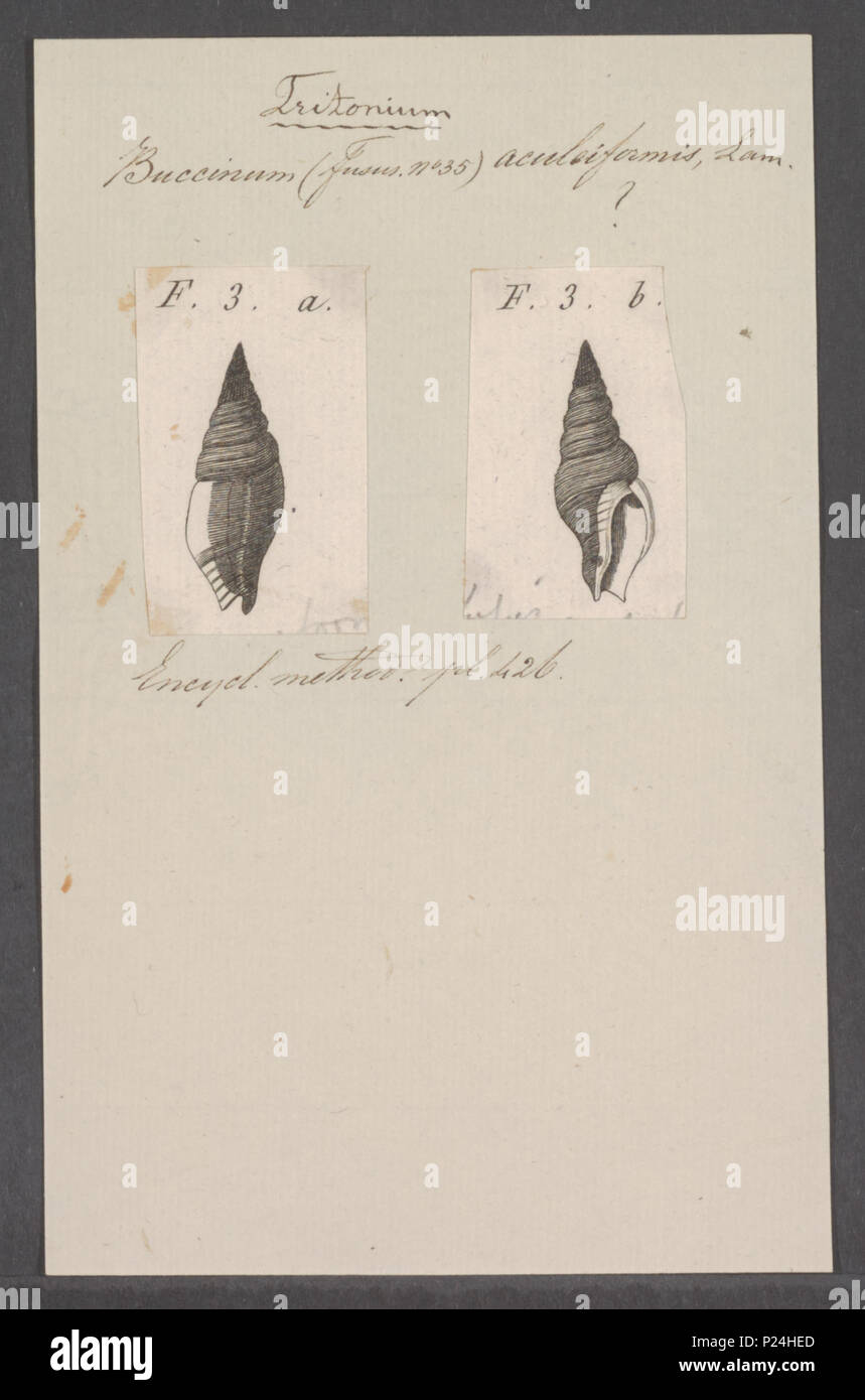 Perrona hi-res stock photography and images - Alamy