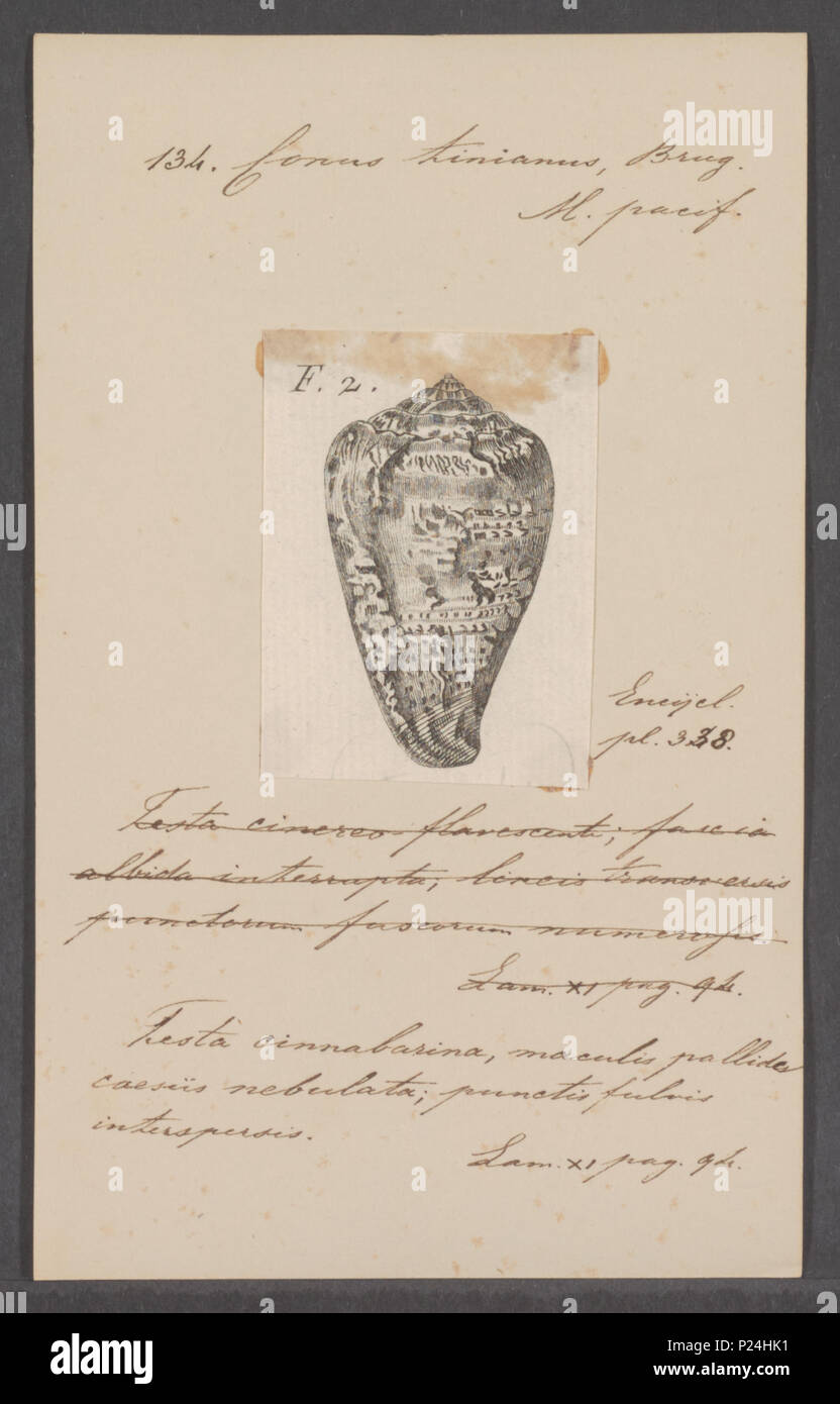 10 0054 hi-res stock photography and images - Alamy