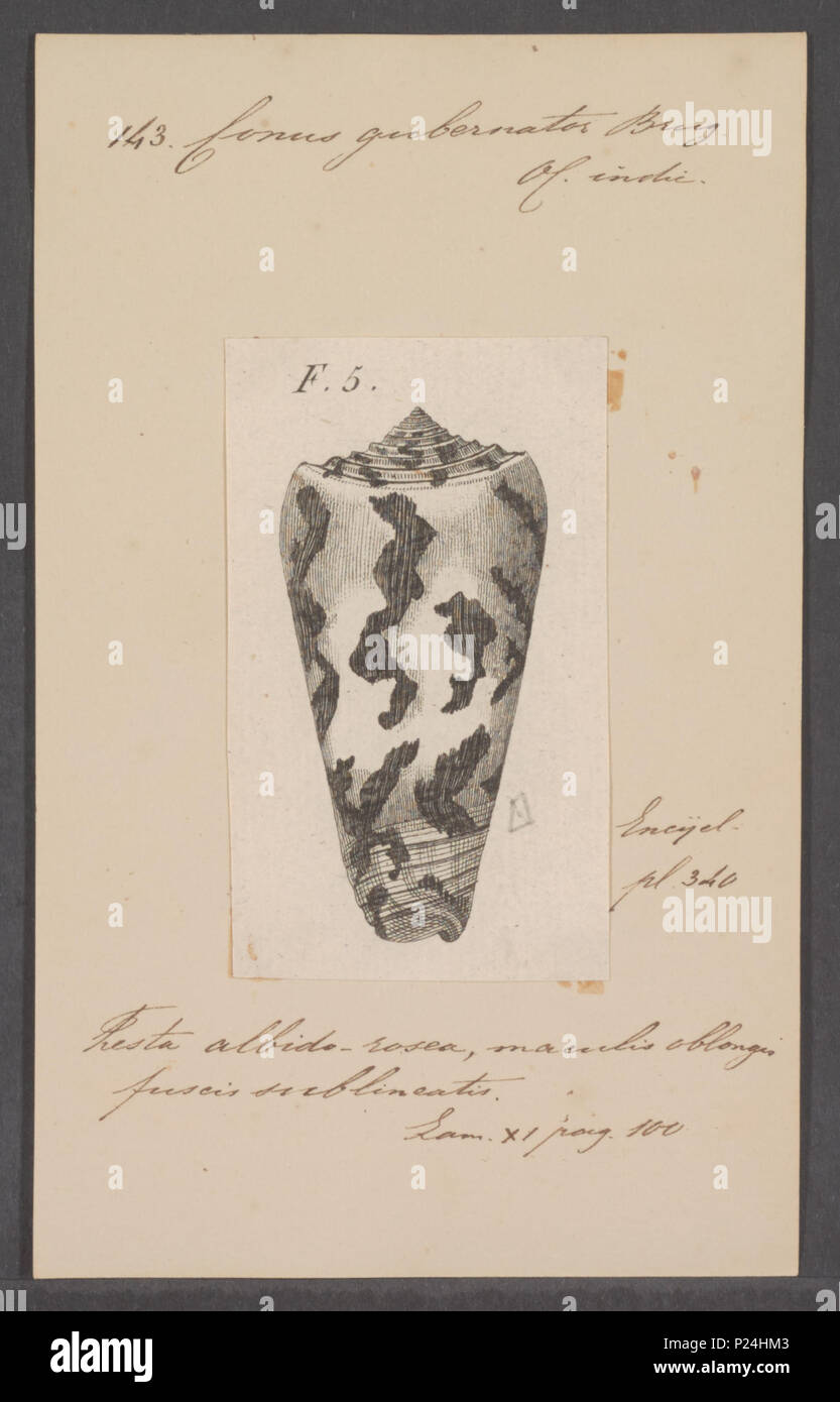 Marineeducation hi-res stock photography and images - Alamy