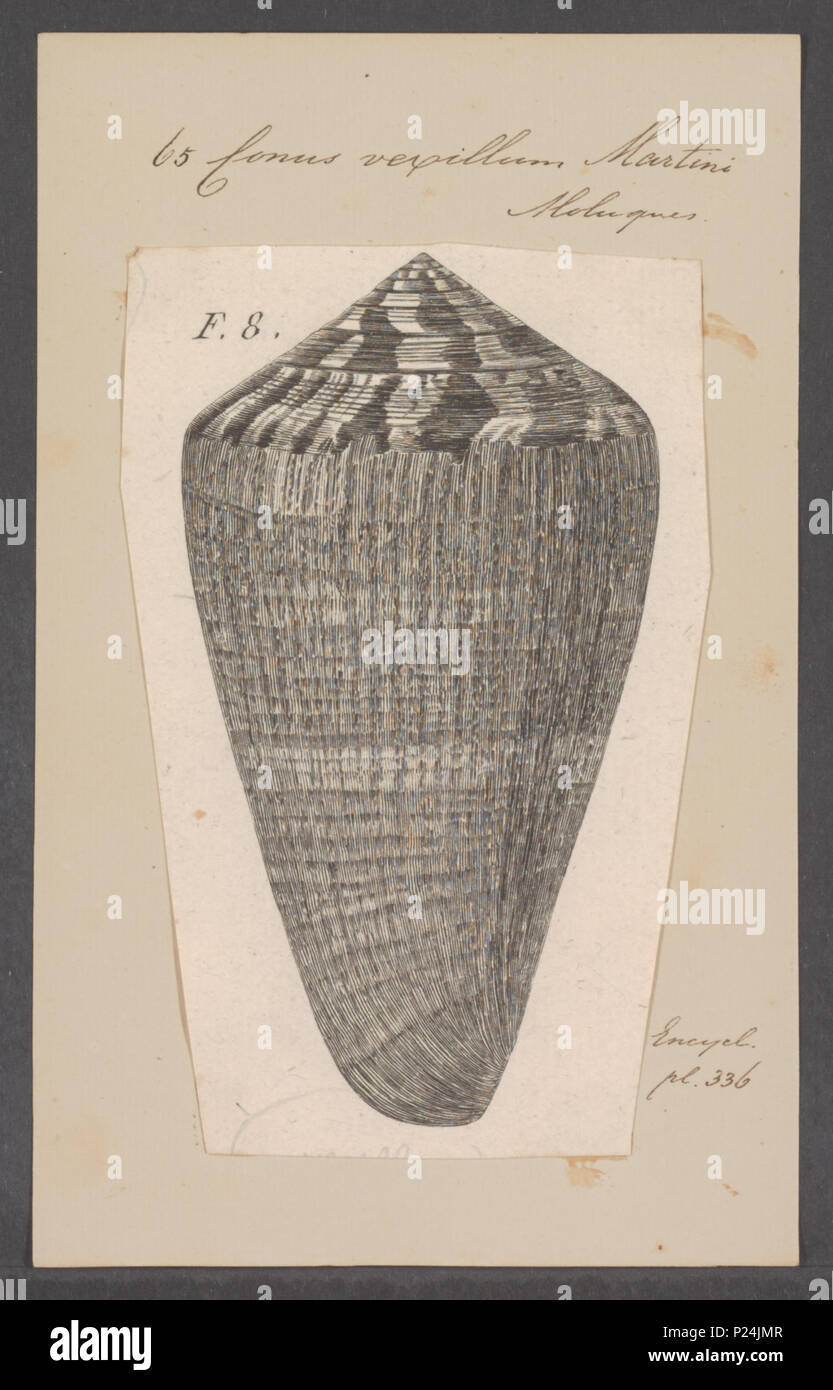 Vexillum hi-res stock photography and images - Alamy