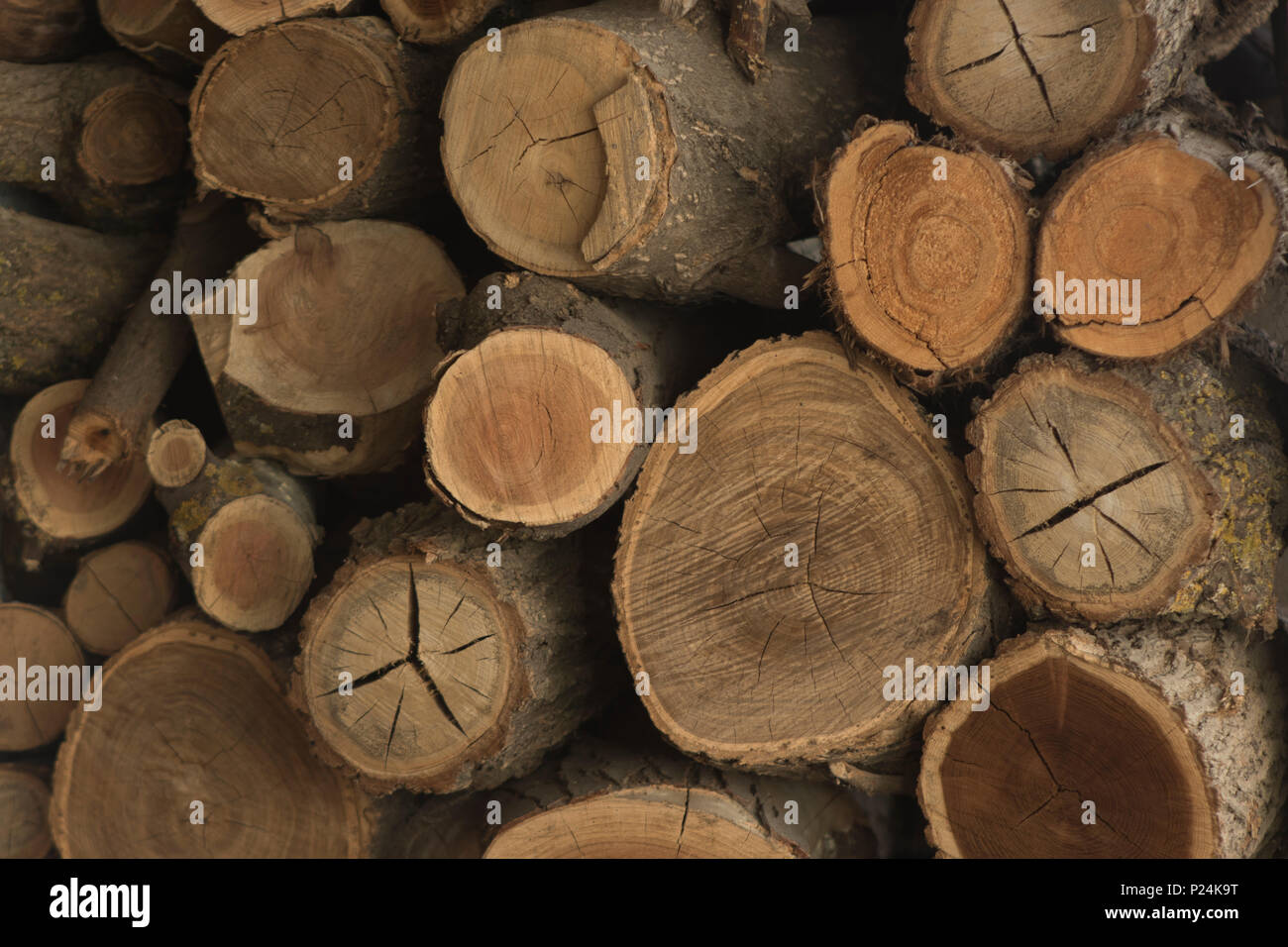 the dried-up end face of dry logs a background Stock Photo - Alamy