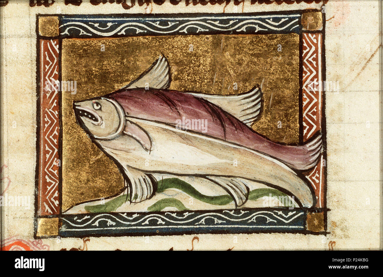 . Delfin (dolphin) - miniature from folio 104v from Der naturen bloeme ...