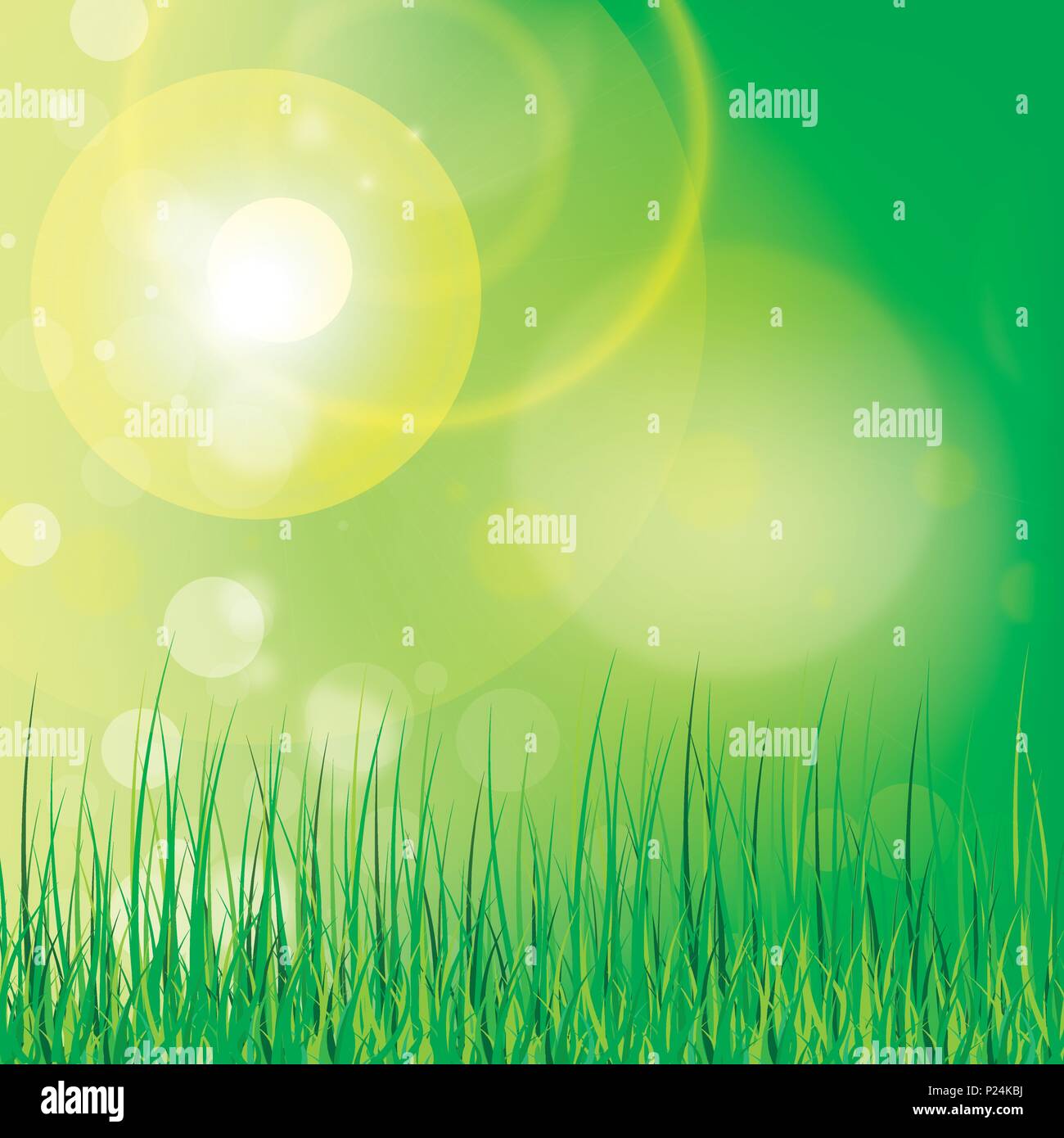 spring summer background with flowers and meadows hills Stock Vector ...