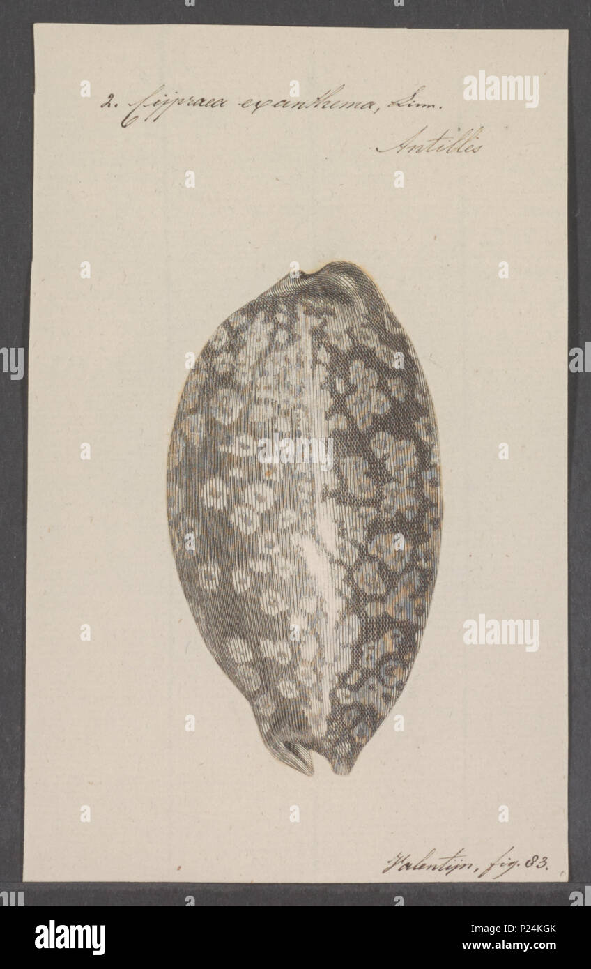 Exanthema hi-res stock photography and images - Alamy