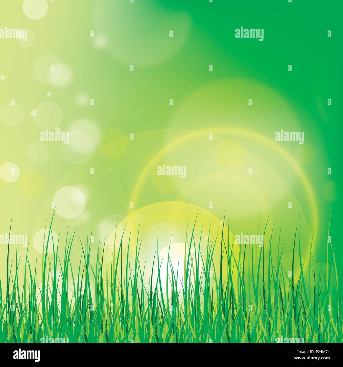 spring summer background with flowers and meadows hills Stock Vector ...