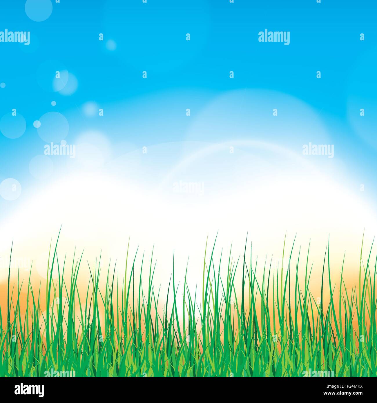 spring summer background with flowers and meadows hills Stock Vector ...