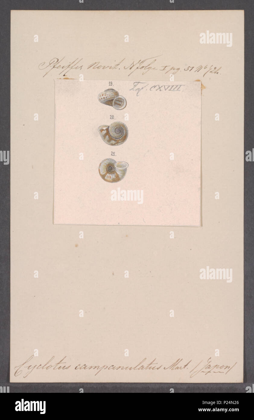 Cyclotus hi-res stock photography and images - Alamy