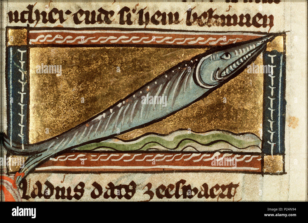 . Gladius maris (swordfish) - miniature from folio 106v from Der ...