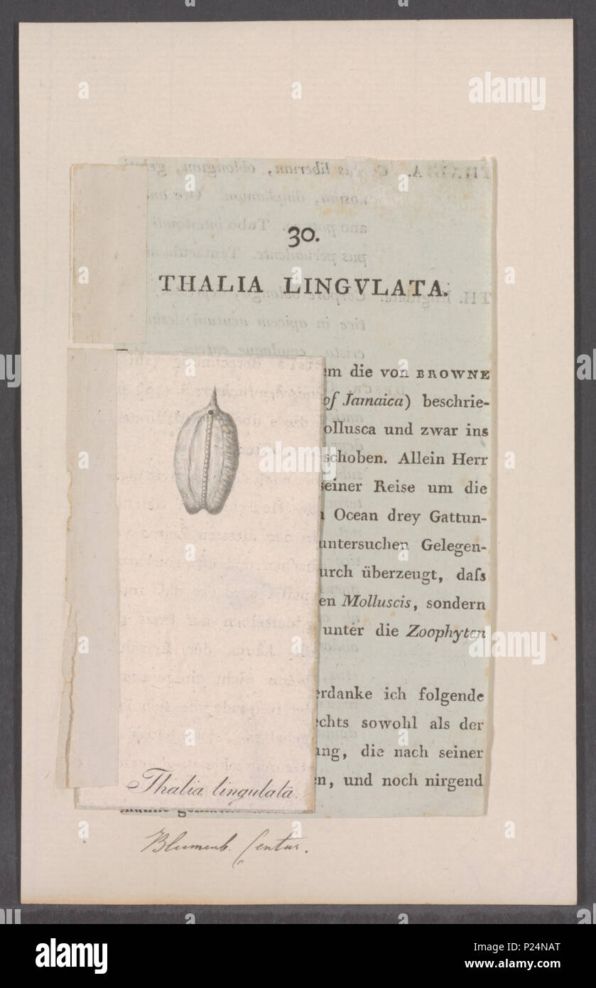 Democratica hi-res stock photography and images - Alamy