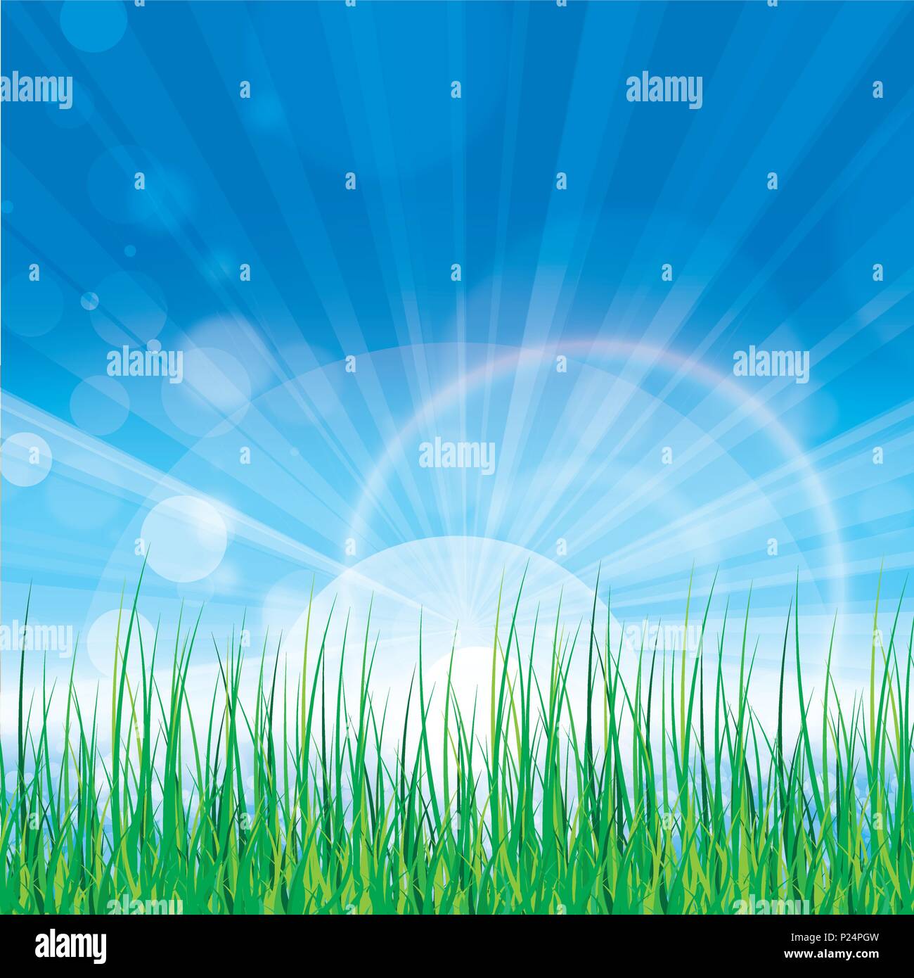 spring summer background with flowers and meadows hills Stock Vector ...