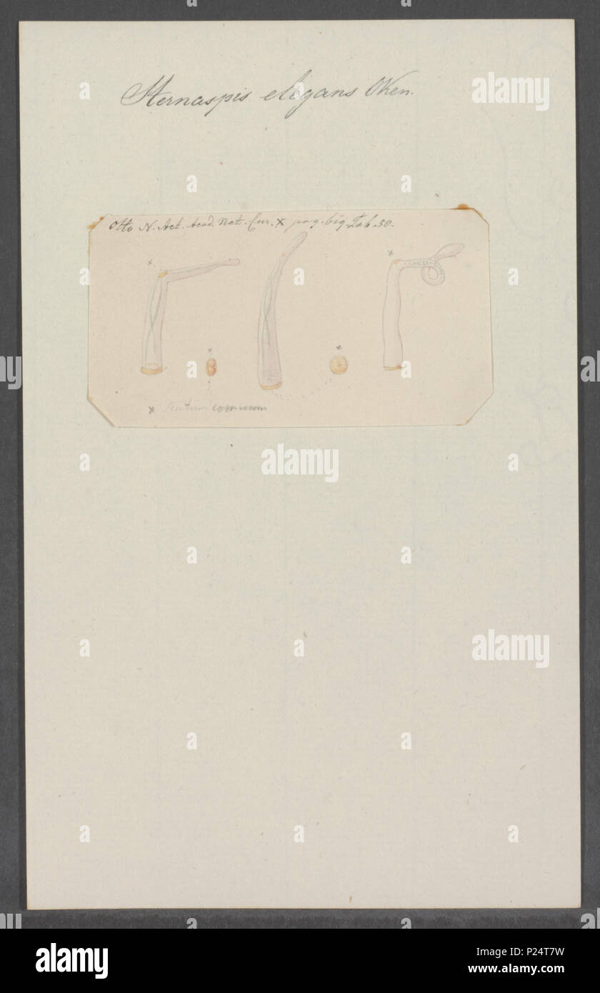 103 10 hi-res stock photography and images - Alamy