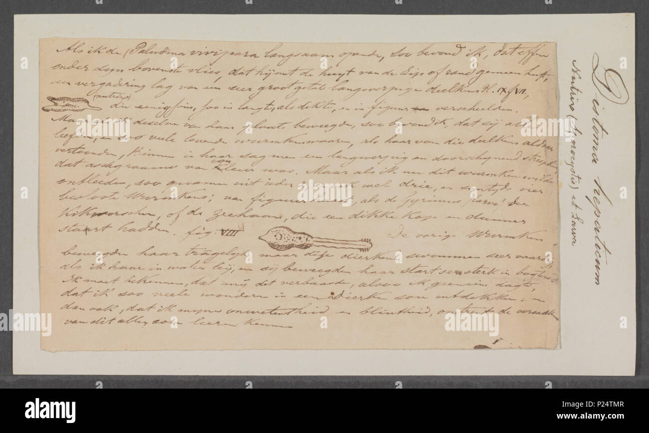 . Distoma hepaticum 83 Distoma hepaticum - - Print - Iconographia ...