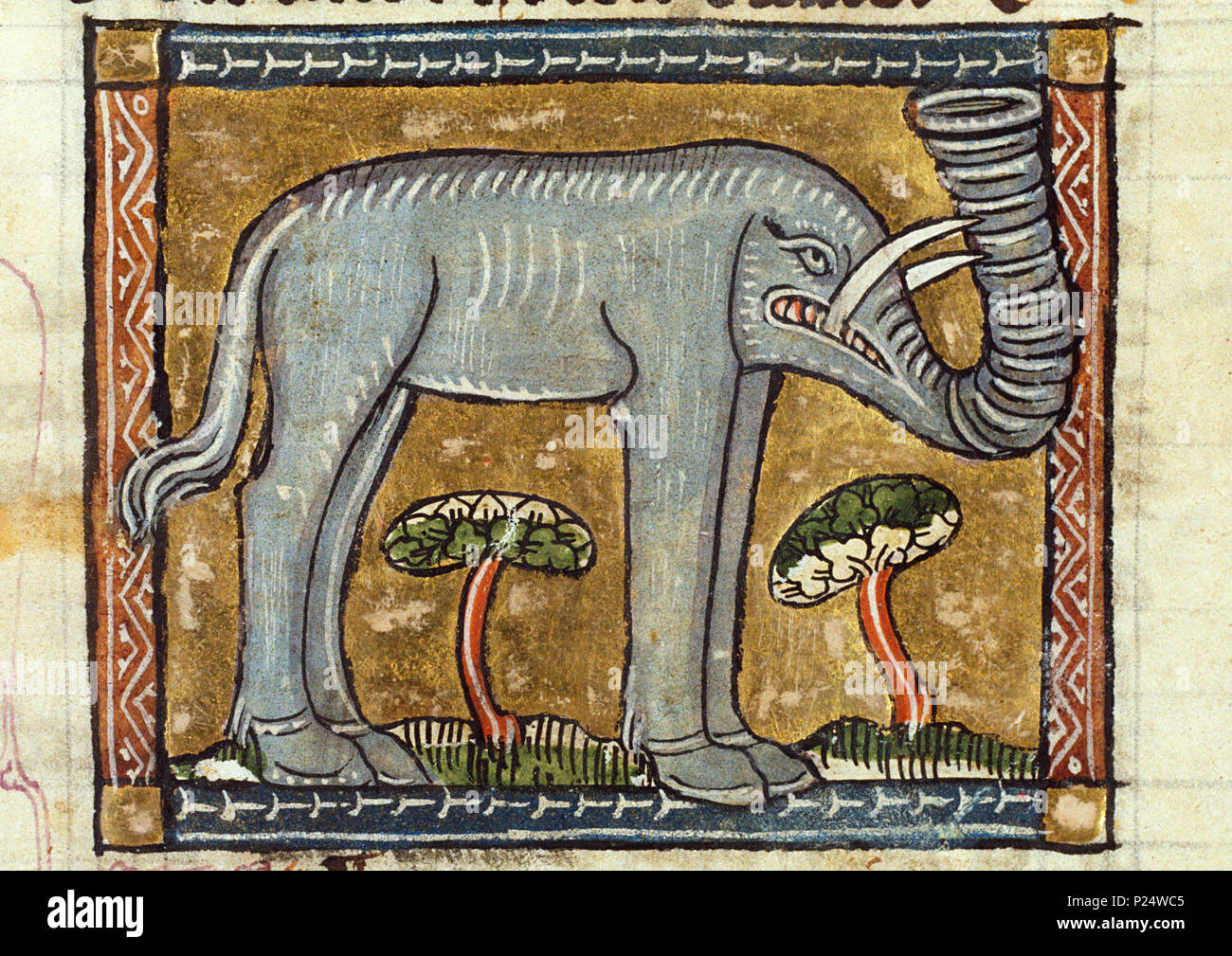 Trunked animals hi-res stock photography and images - Alamy