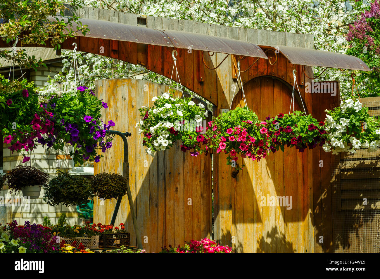 Ornamental tree suspended hi-res stock photography and images - Alamy