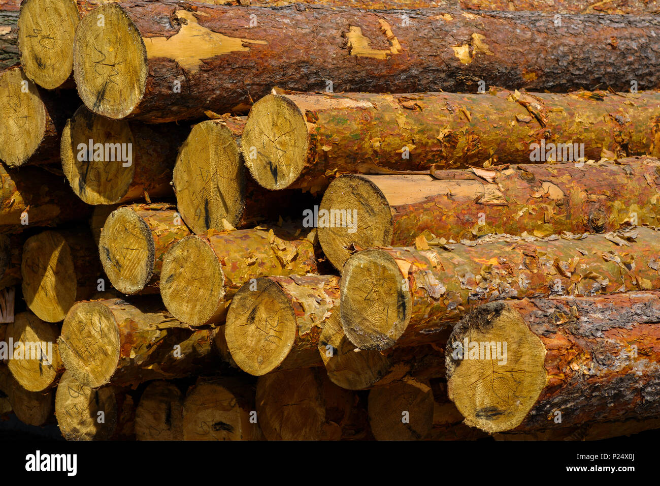 Rounded logs hi-res stock photography and images - Alamy