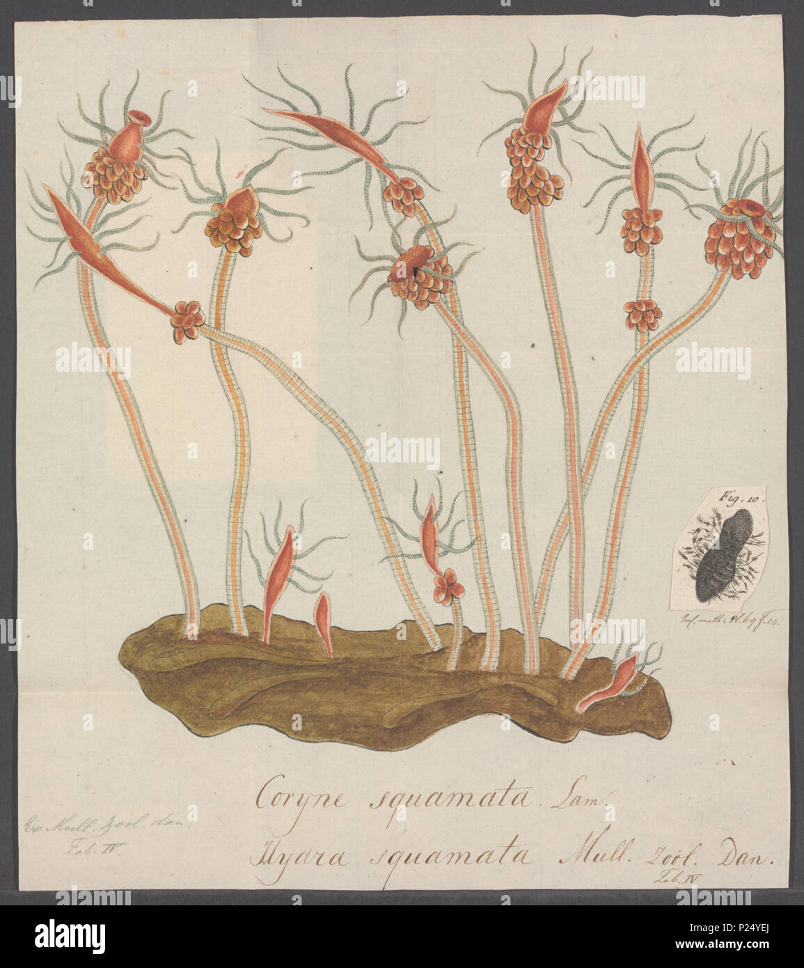 69 0005 hi-res stock photography and images - Alamy