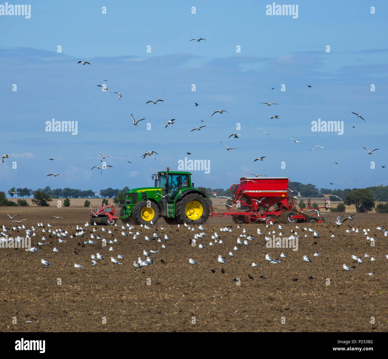 Tractor gulls hi-res stock photography and images - Alamy