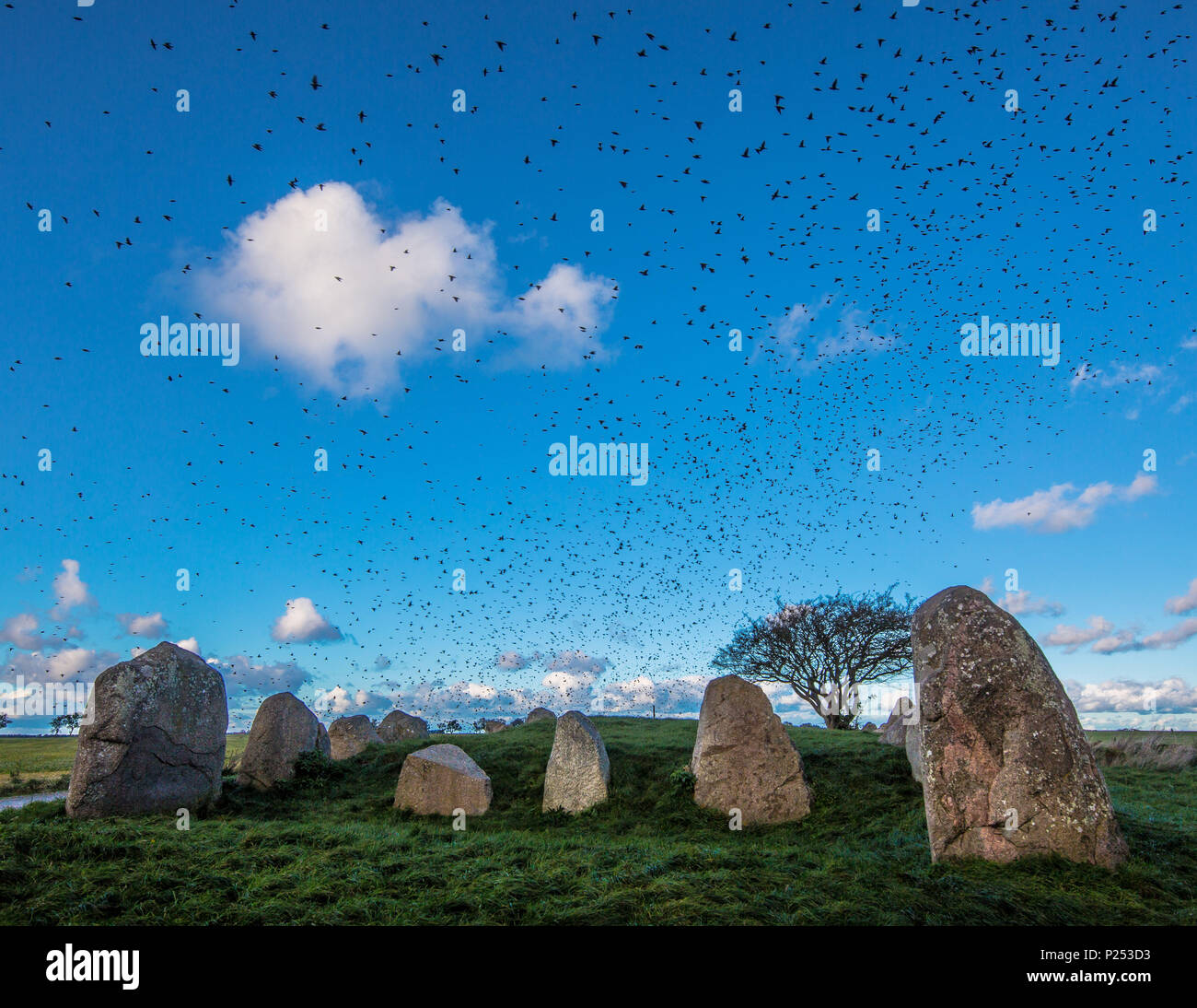megalithic tomb of Nobbin with flight of starlings Stock Photo - Alamy