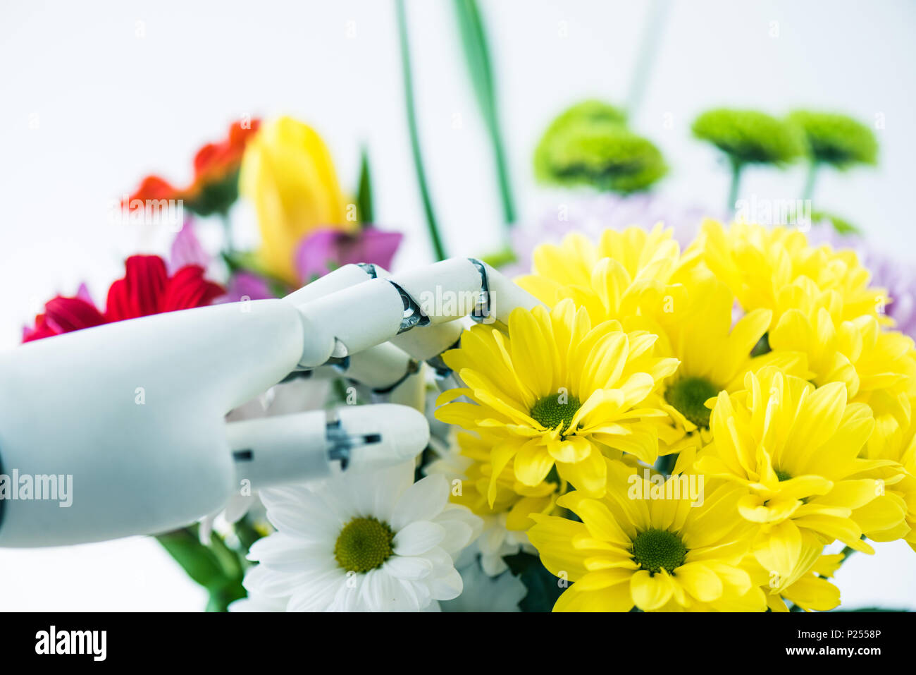Robot flowers hi-res stock photography and images - Alamy